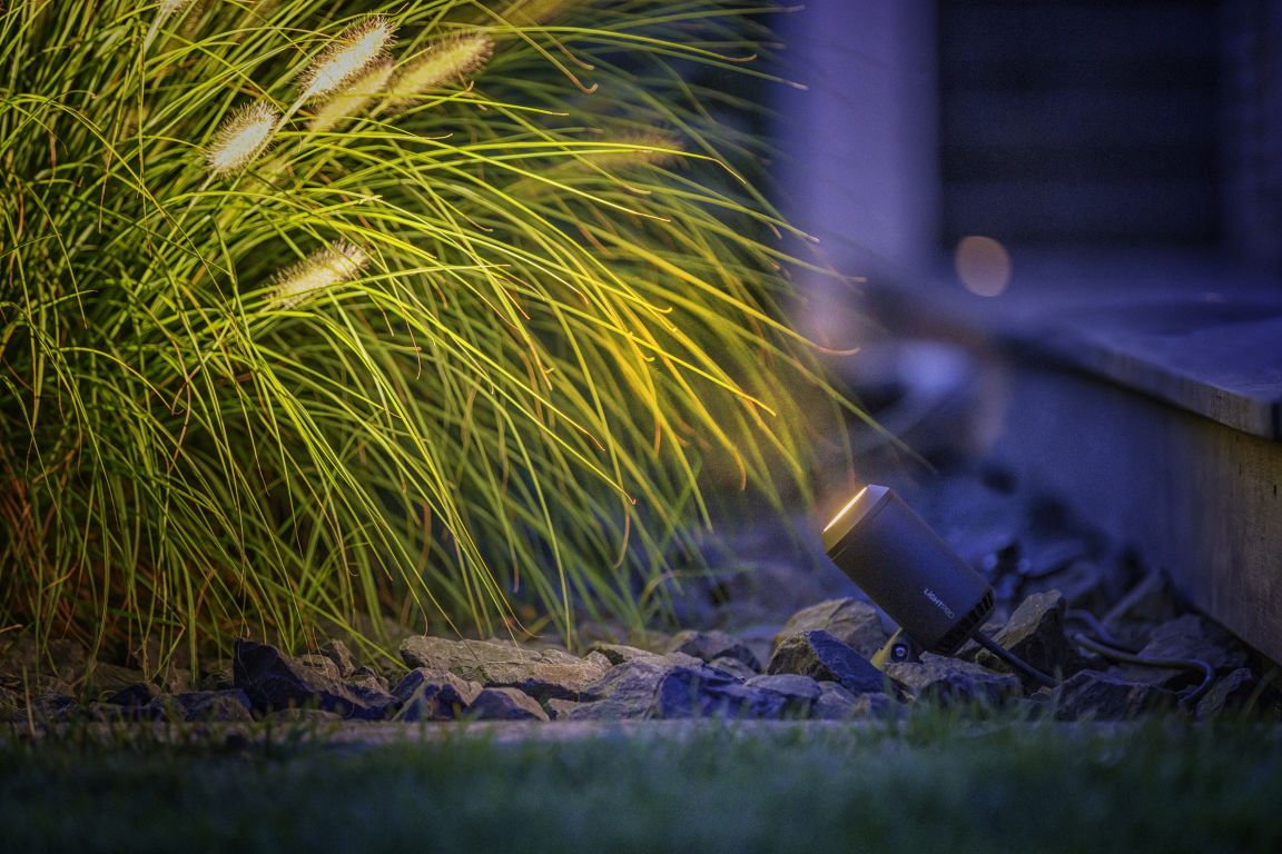 Lightpro Castor 4 - Houthandel Jan Sok Joure